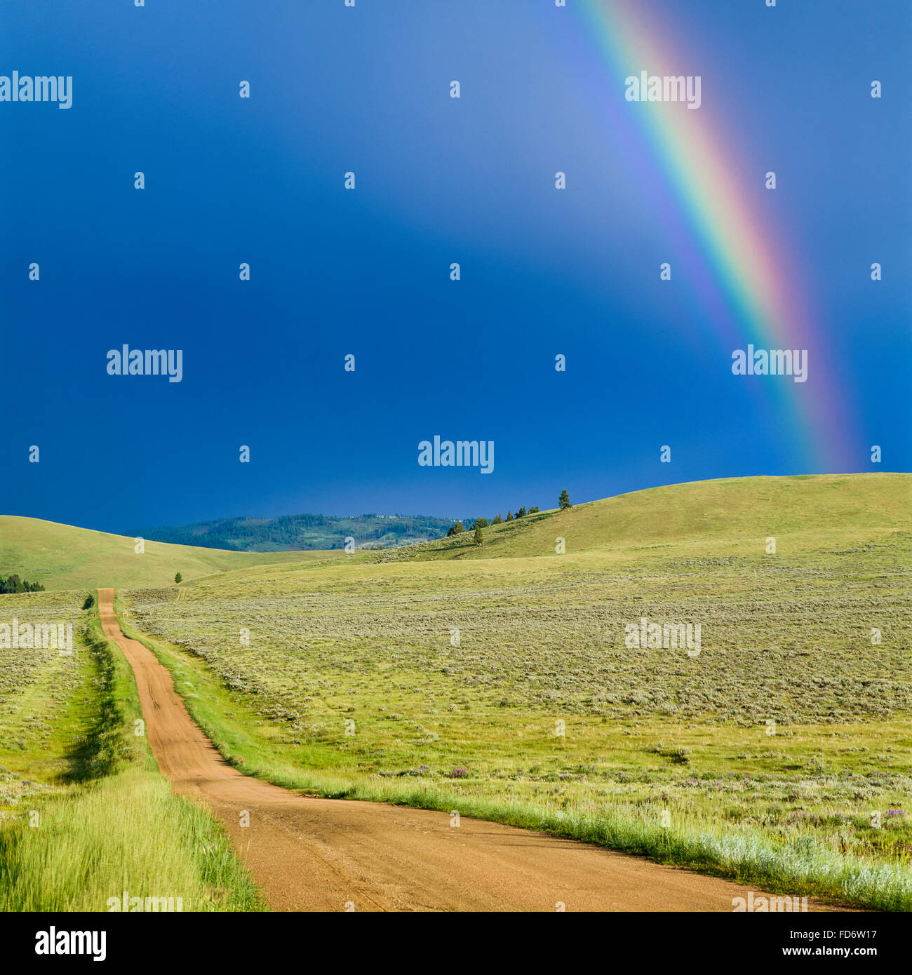Rainbow over ranch hi-res stock photography and images - Alamy