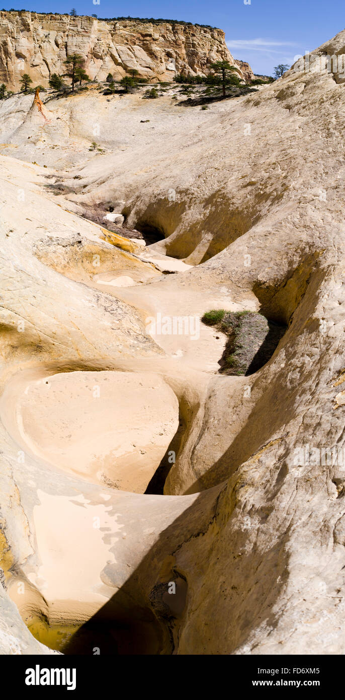 Potholes along a dry streambed off the side of Lick Wash, Grand ...