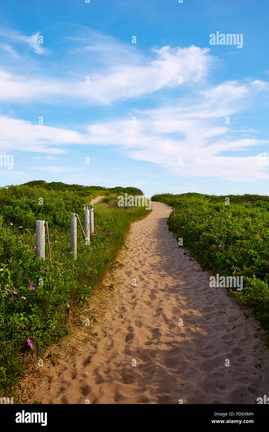 Cape Cod Herring Cove Beach in Massachusetts USA Stock Photo - Alamy