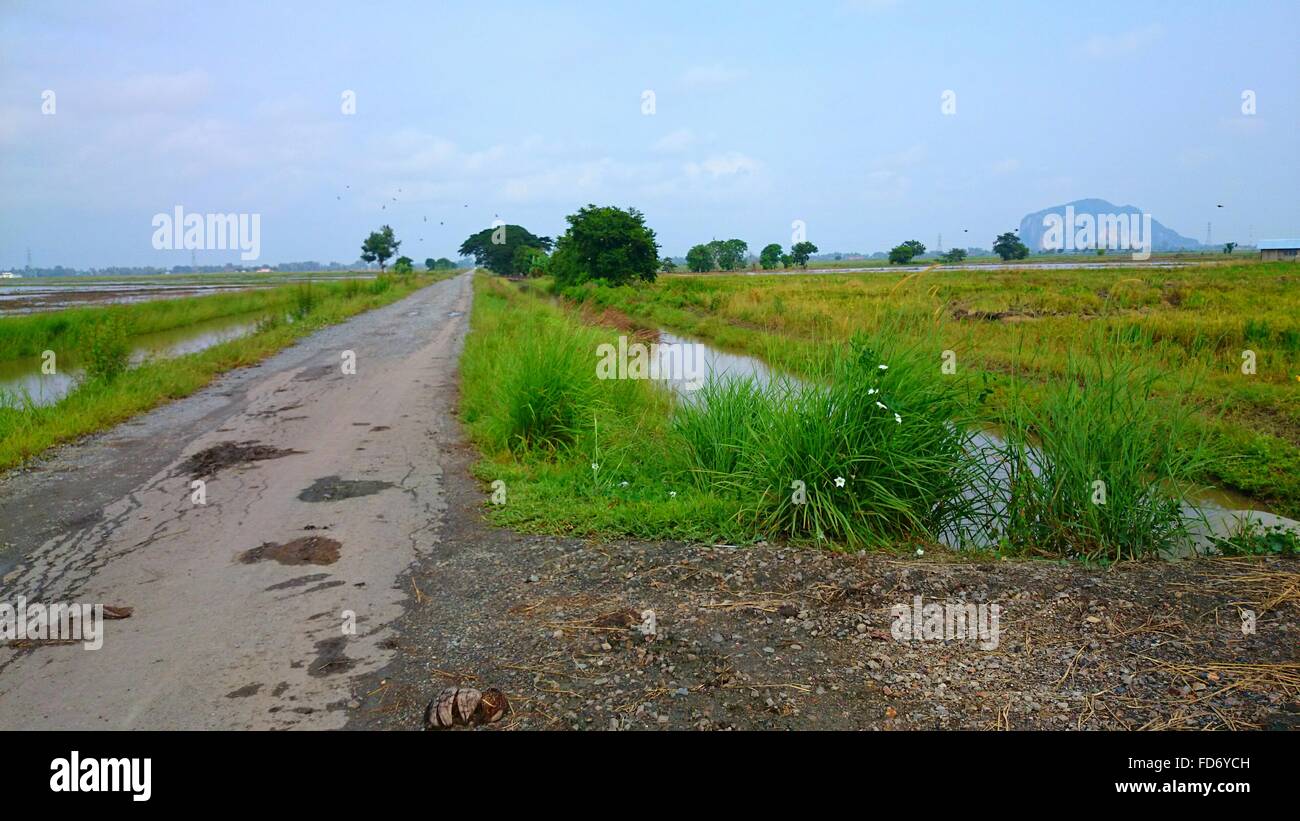 View Of Rural Landscape Stock Photo - Alamy