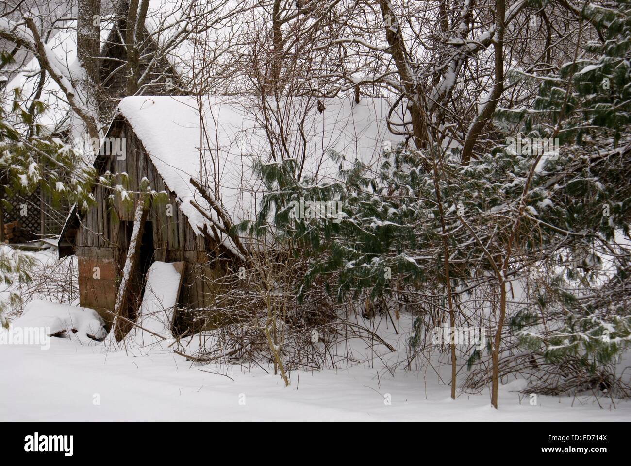 An old cabin in the woods, In the snowy winter Stock Photo - Alamy