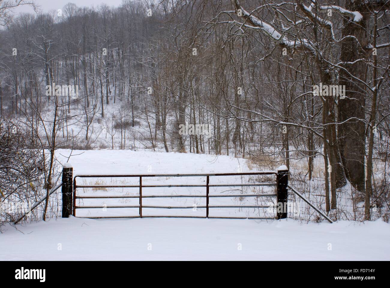 Snow Gates High Resolution Stock Photography and Images - Alamy
