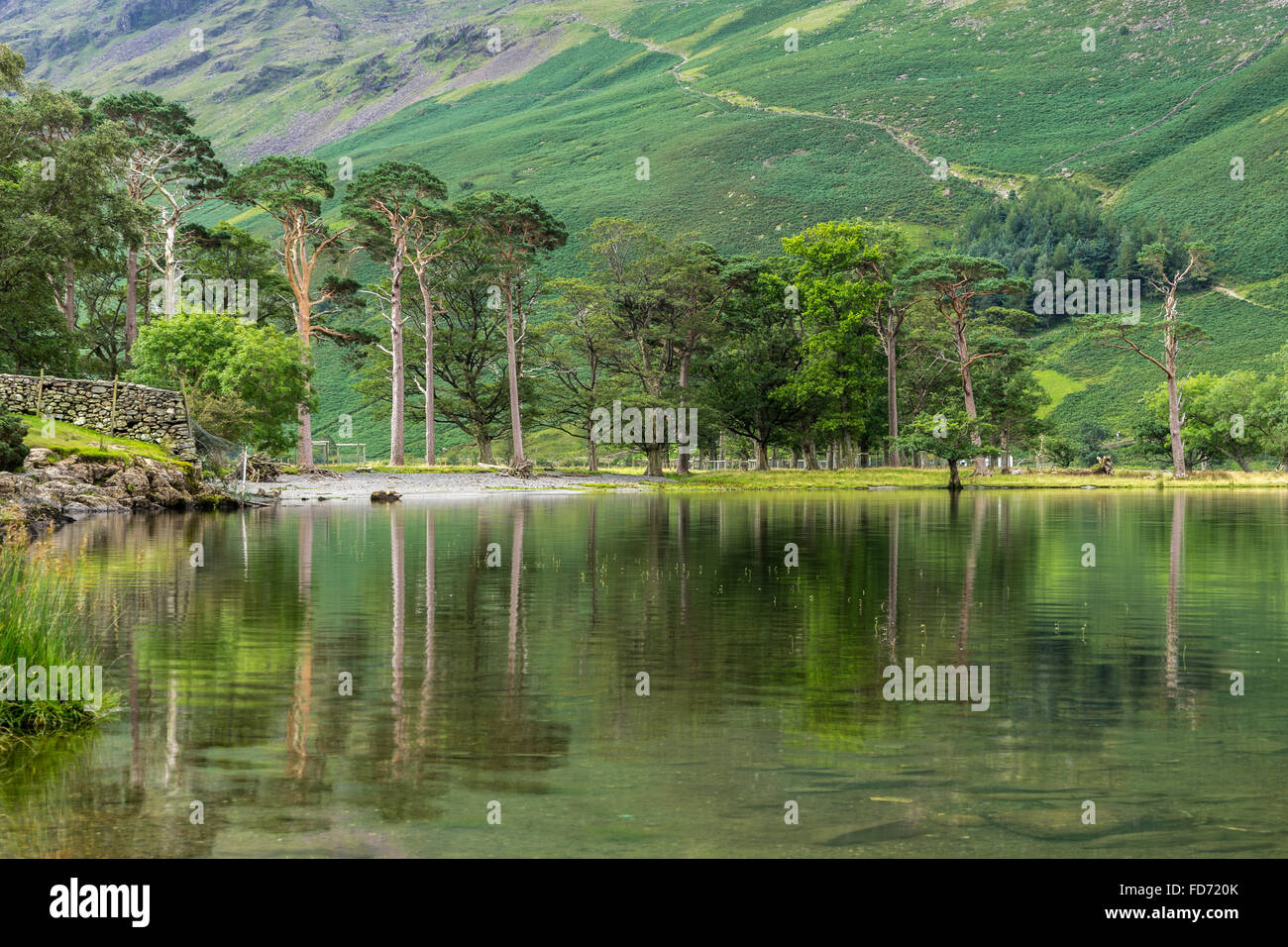 View of Buttermere Stock Photo - Alamy