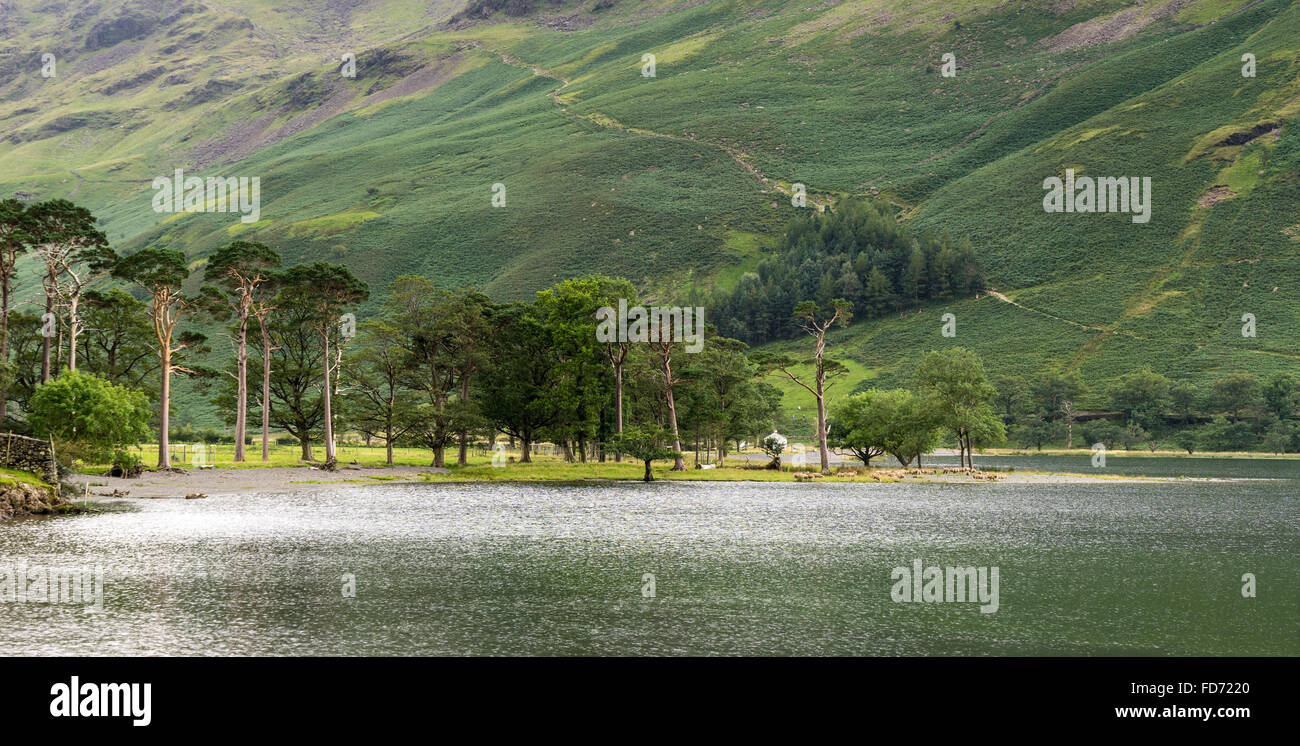 View of Buttermere Stock Photo - Alamy