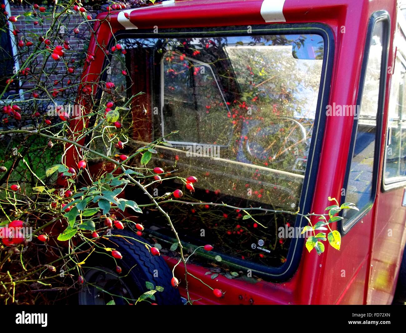 Car den hi-res stock photography and images - Alamy