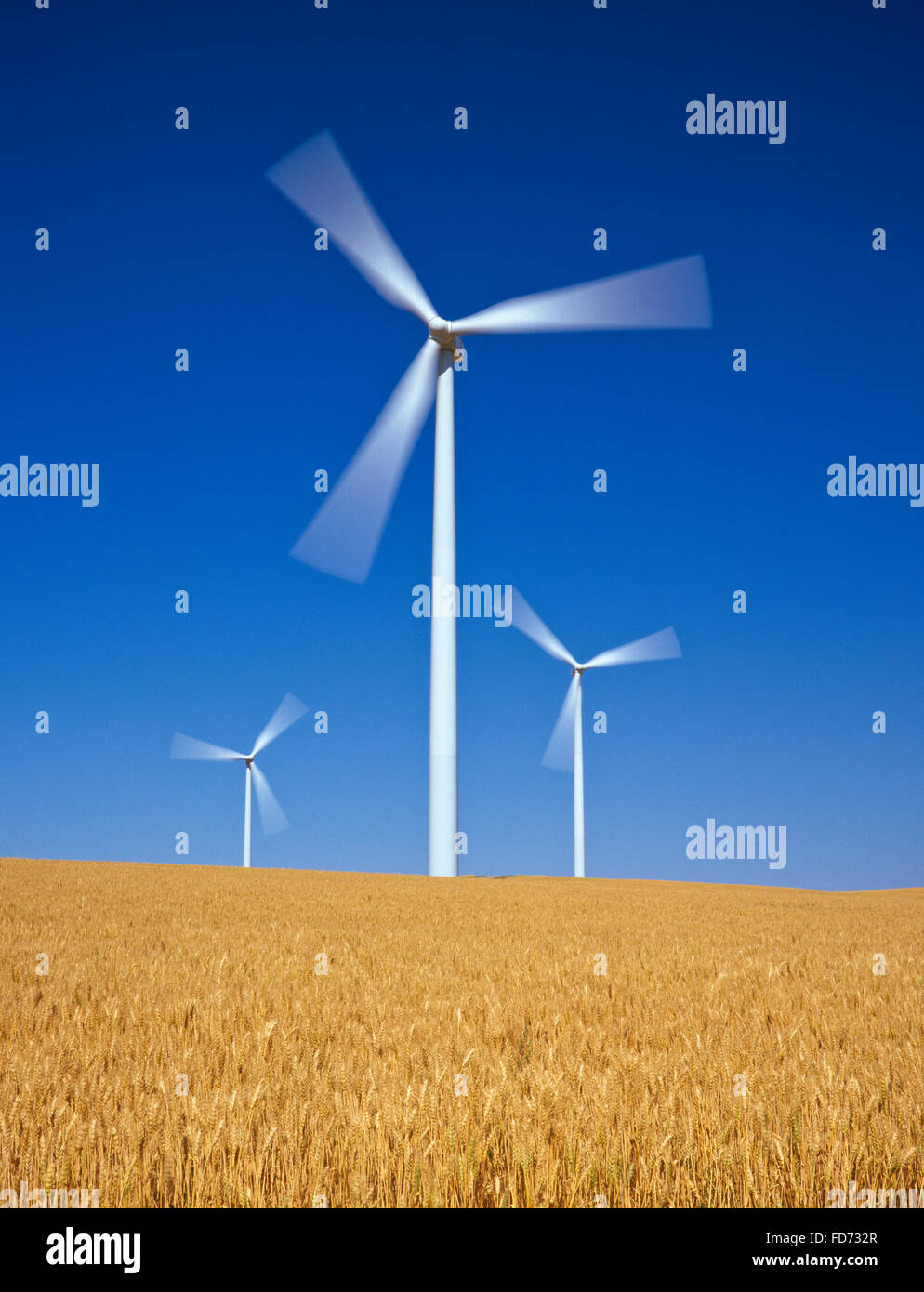 Ethridge montana hi-res stock photography and images - Alamy