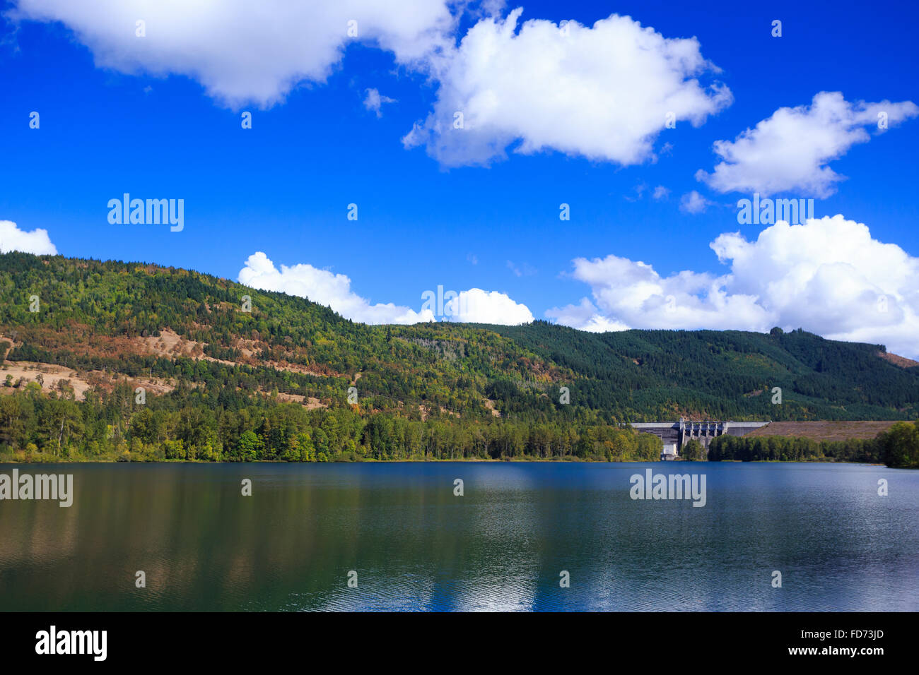 Dexter Lake Oregon Campsites