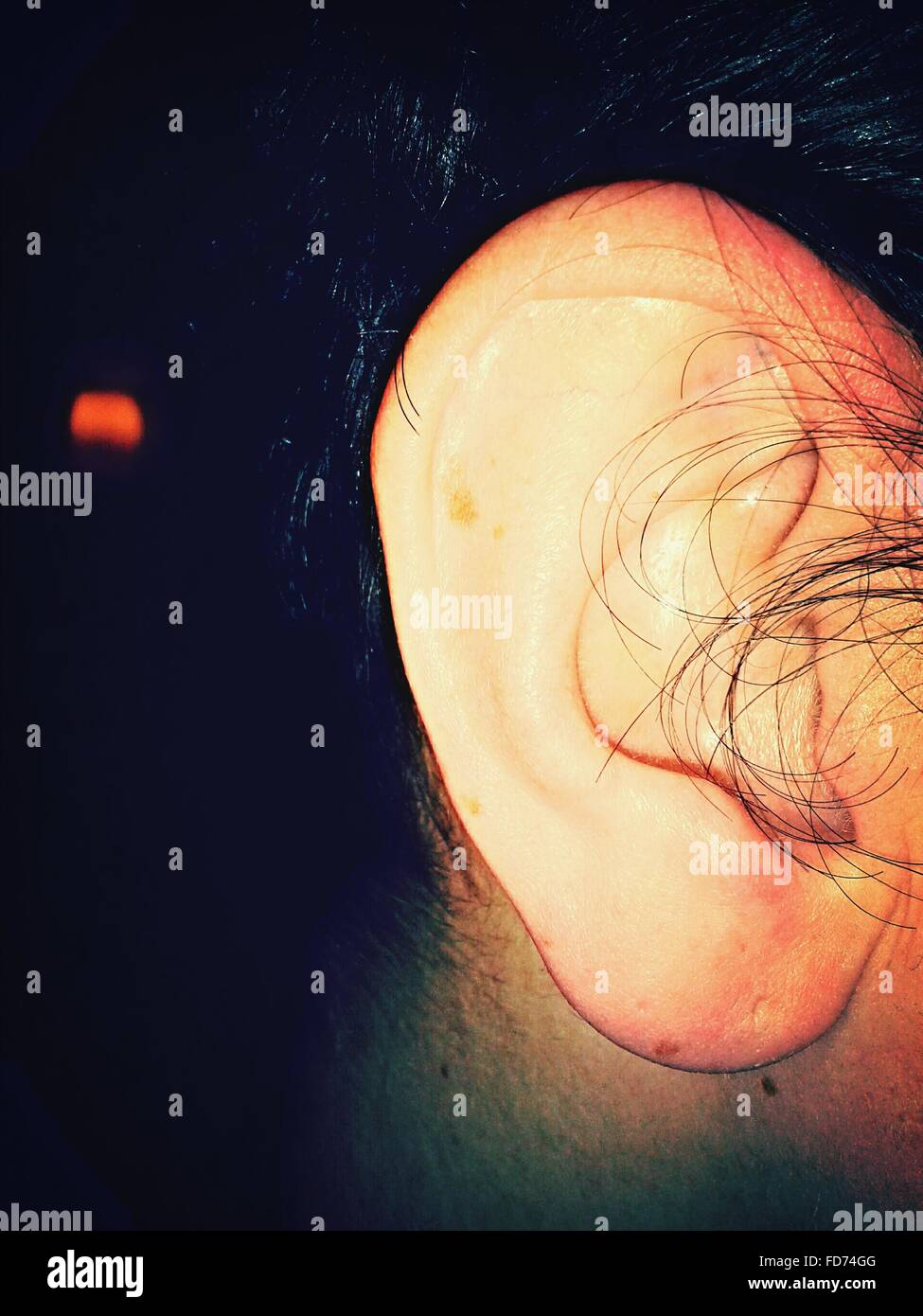 Ear part hi-res stock photography and images - Alamy