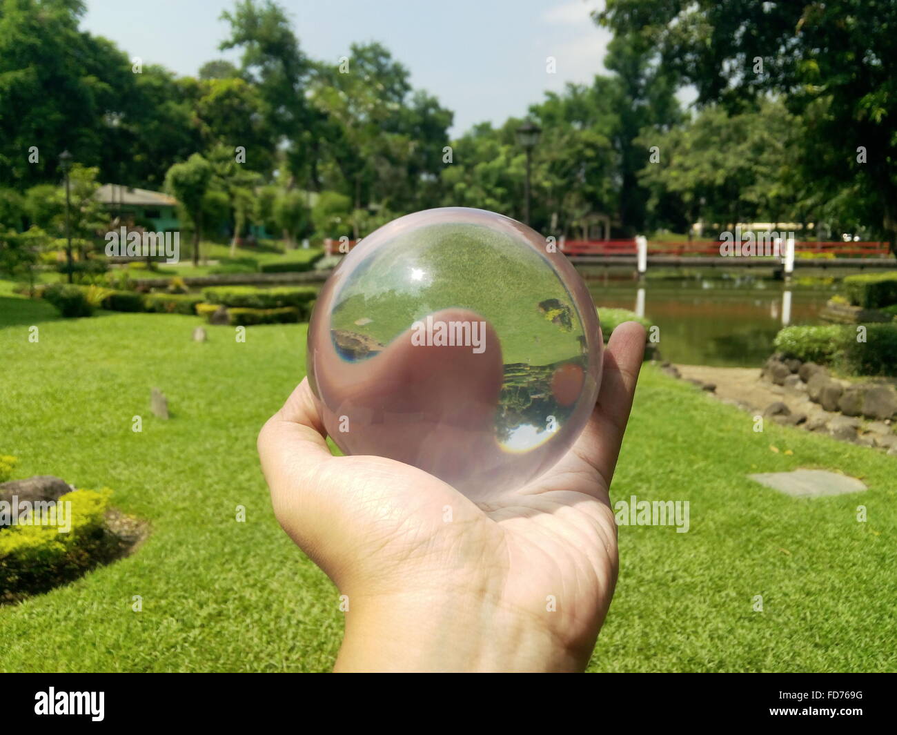 Man Hand Carrying Crystal Ball In Green Park Stock Photo - Alamy