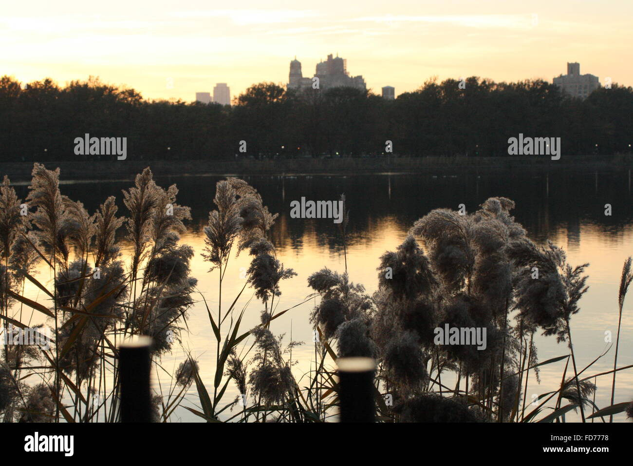 Sunset over central Park Stock Photo - Alamy