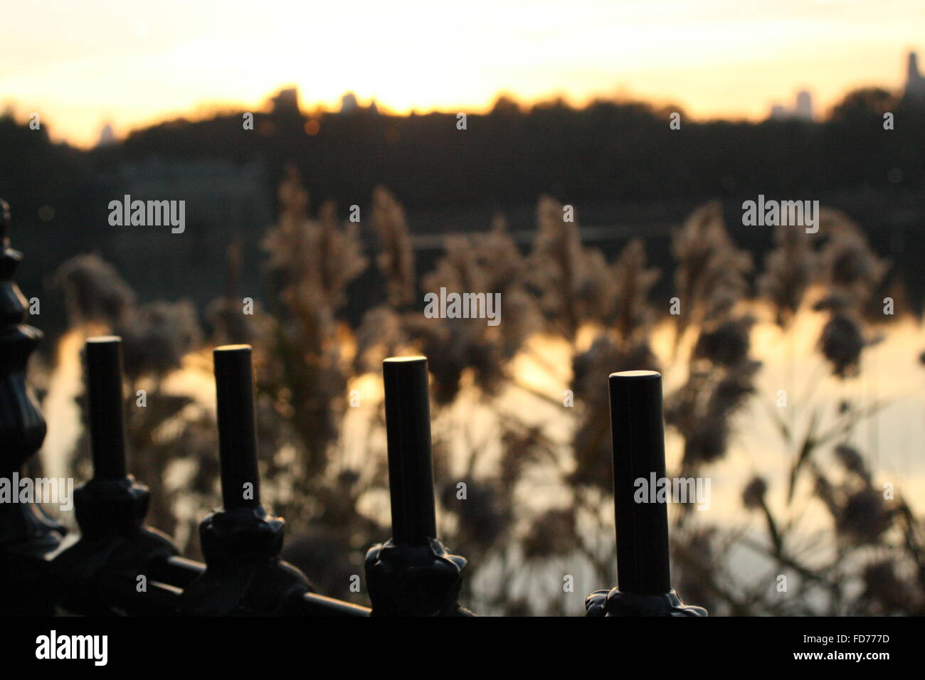 Sunset over central Park Stock Photo - Alamy