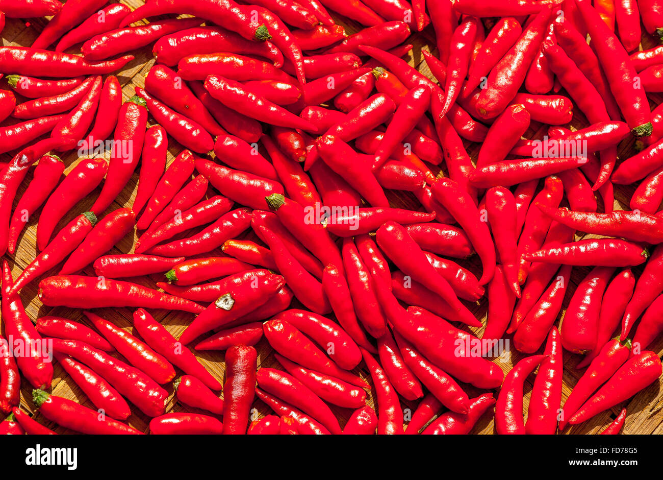 Chilli or chilli or hot peppers (Capsicum sp.), Red peppers drying in ...