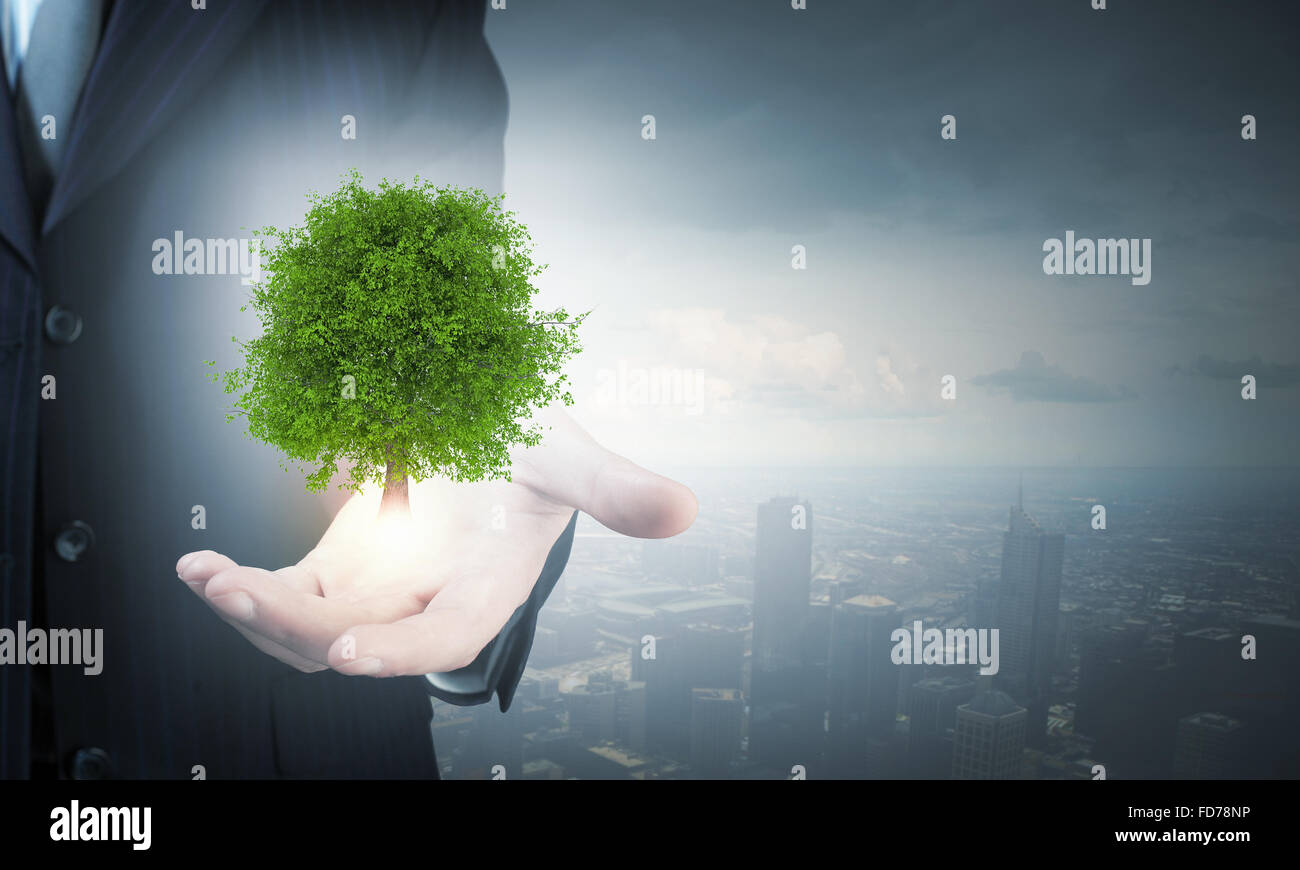 Close up of male hand holding green tree Stock Photo - Alamy
