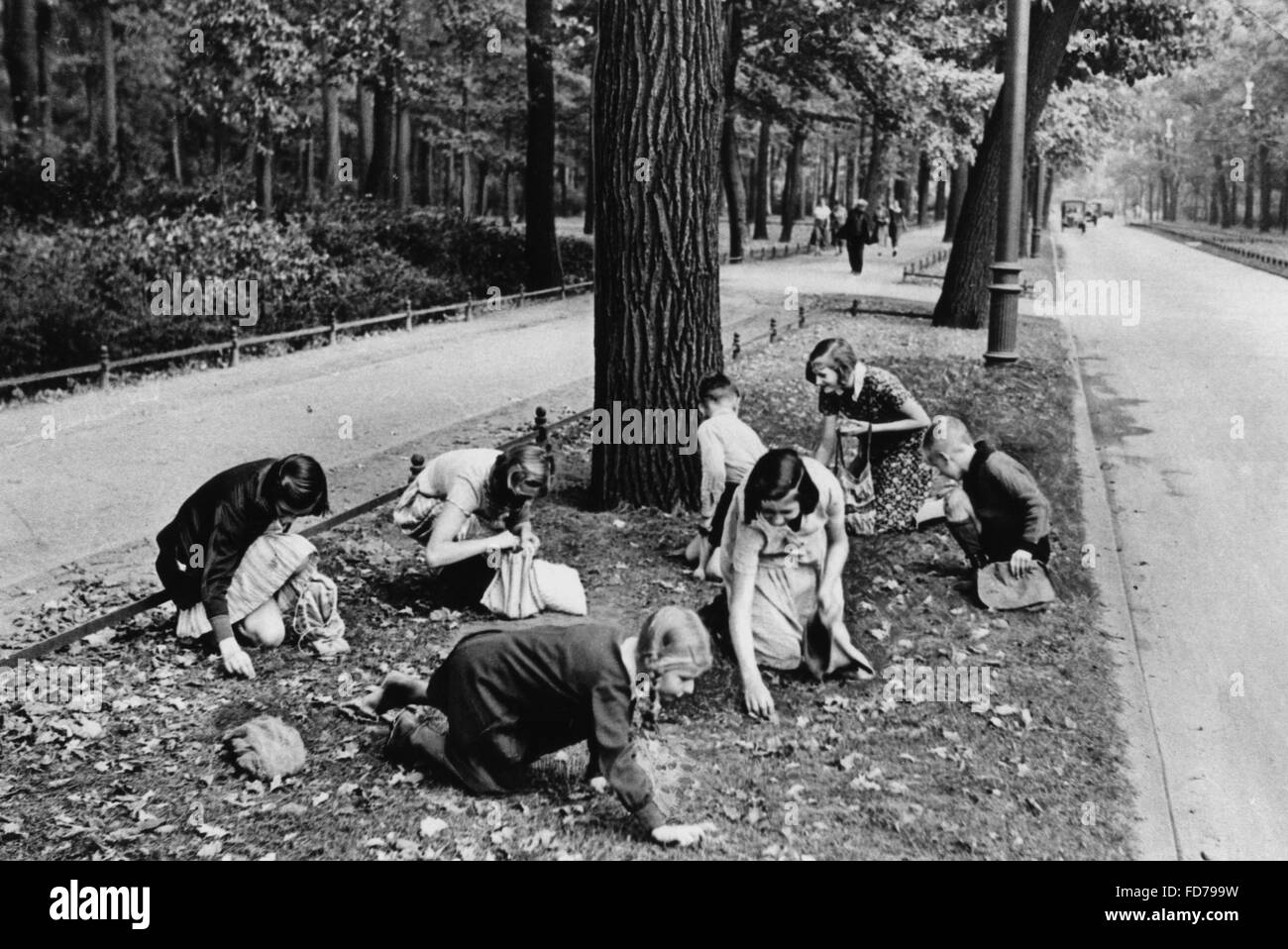 Collecting acorns hi-res stock photography and images - Alamy