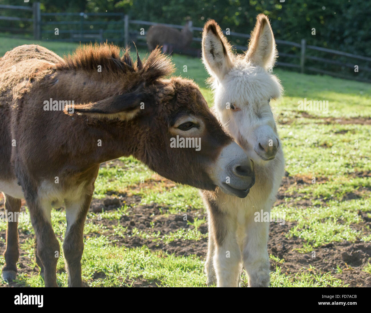 Split Travel Blog Things To Do In Split Chasing The Donkey