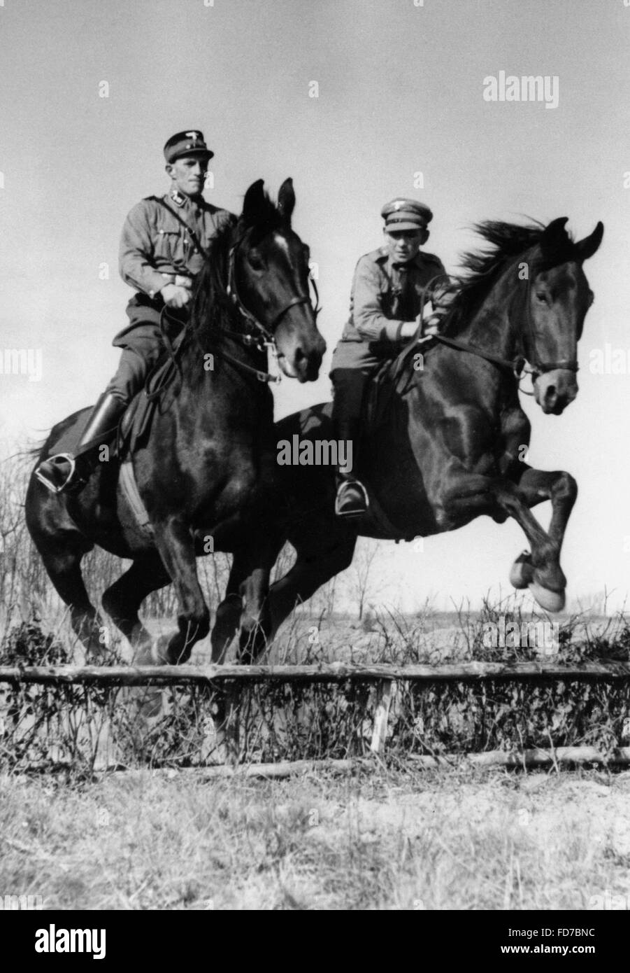 SA men on horseback, 1938 Stock Photo - Alamy