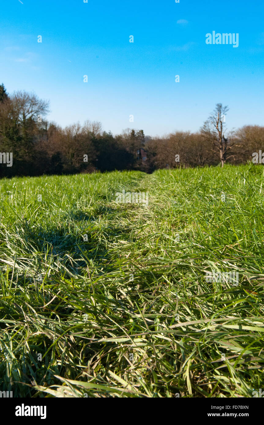 Low down angle of shot hi-res stock photography and images - Alamy