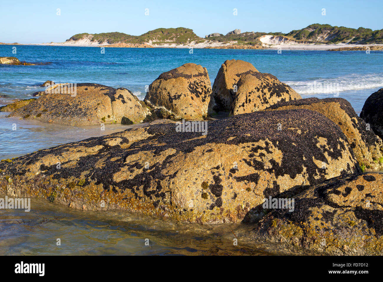 William beach hi-res stock photography and images - Alamy