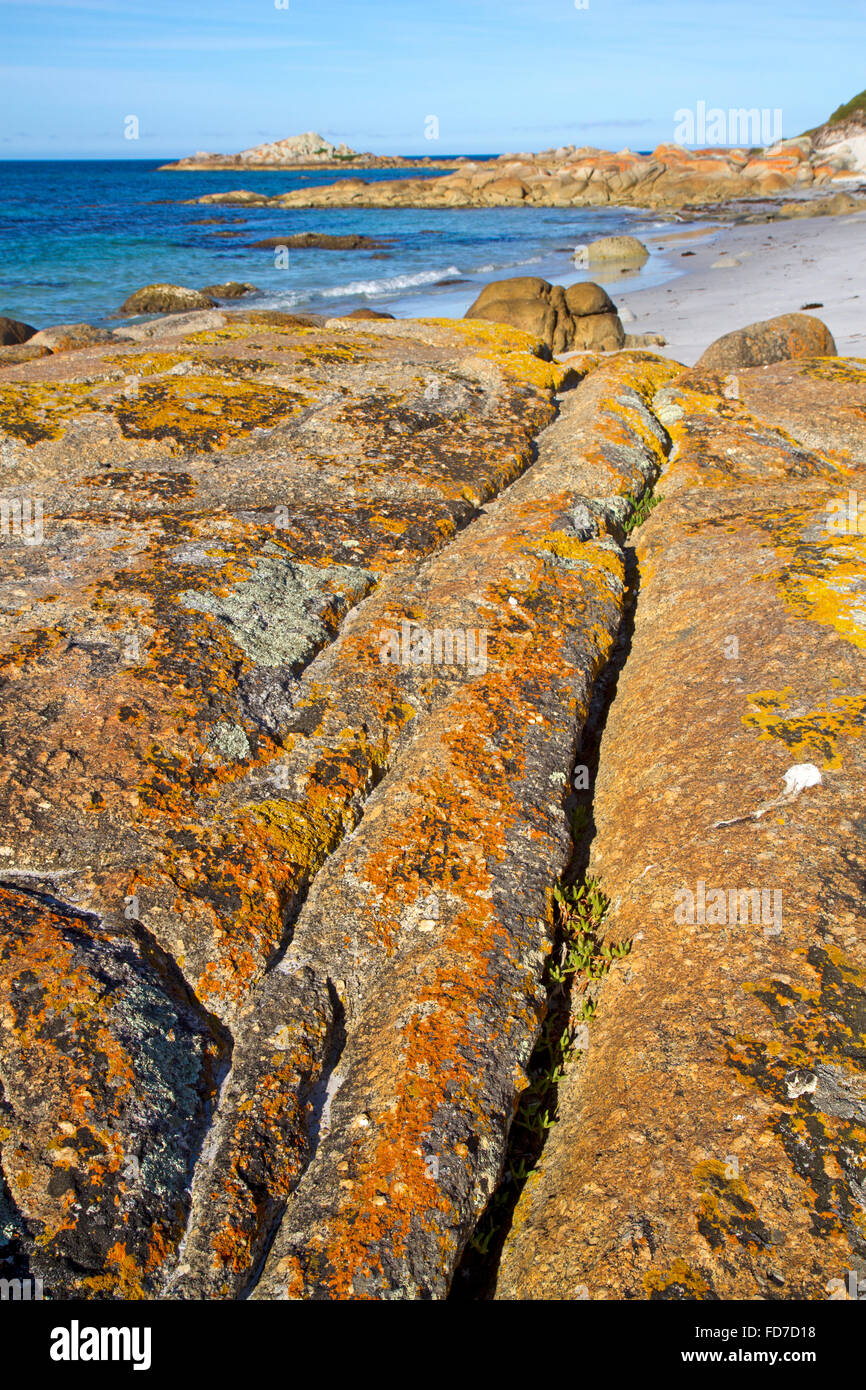 Stumpys Bay in Mt William National Park Stock Photo - Alamy