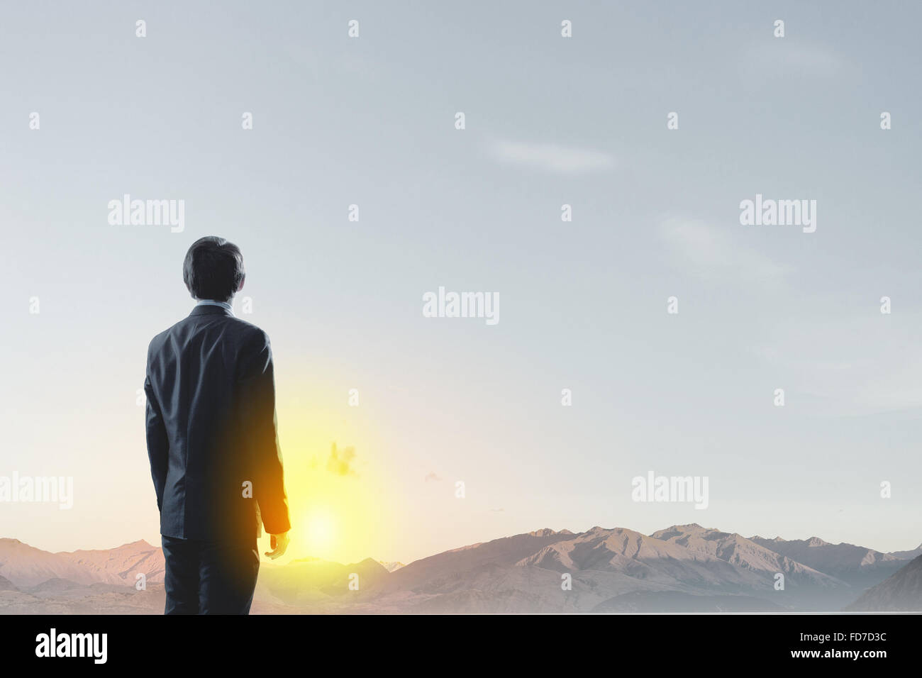 Rear view of businessman looking at sunset Stock Photo - Alamy