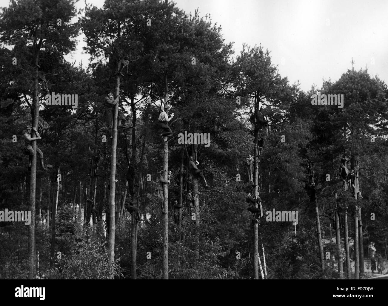 Nuremberg rally 1935 hi-res stock photography and images - Alamy