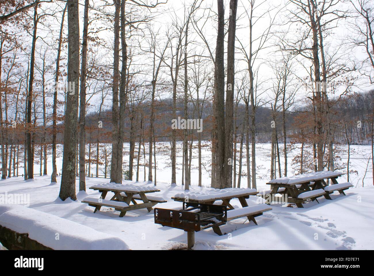 Yellowwood State Forest covered in snow. Picnic tables covered in snow ...