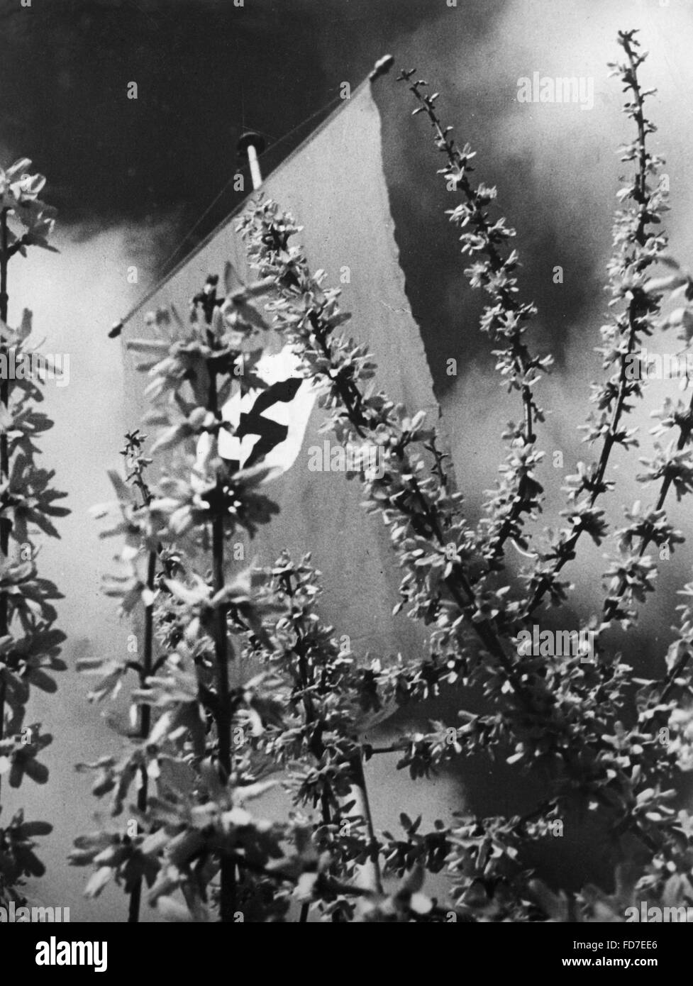 German flag 1933 hi-res stock photography and images - Alamy