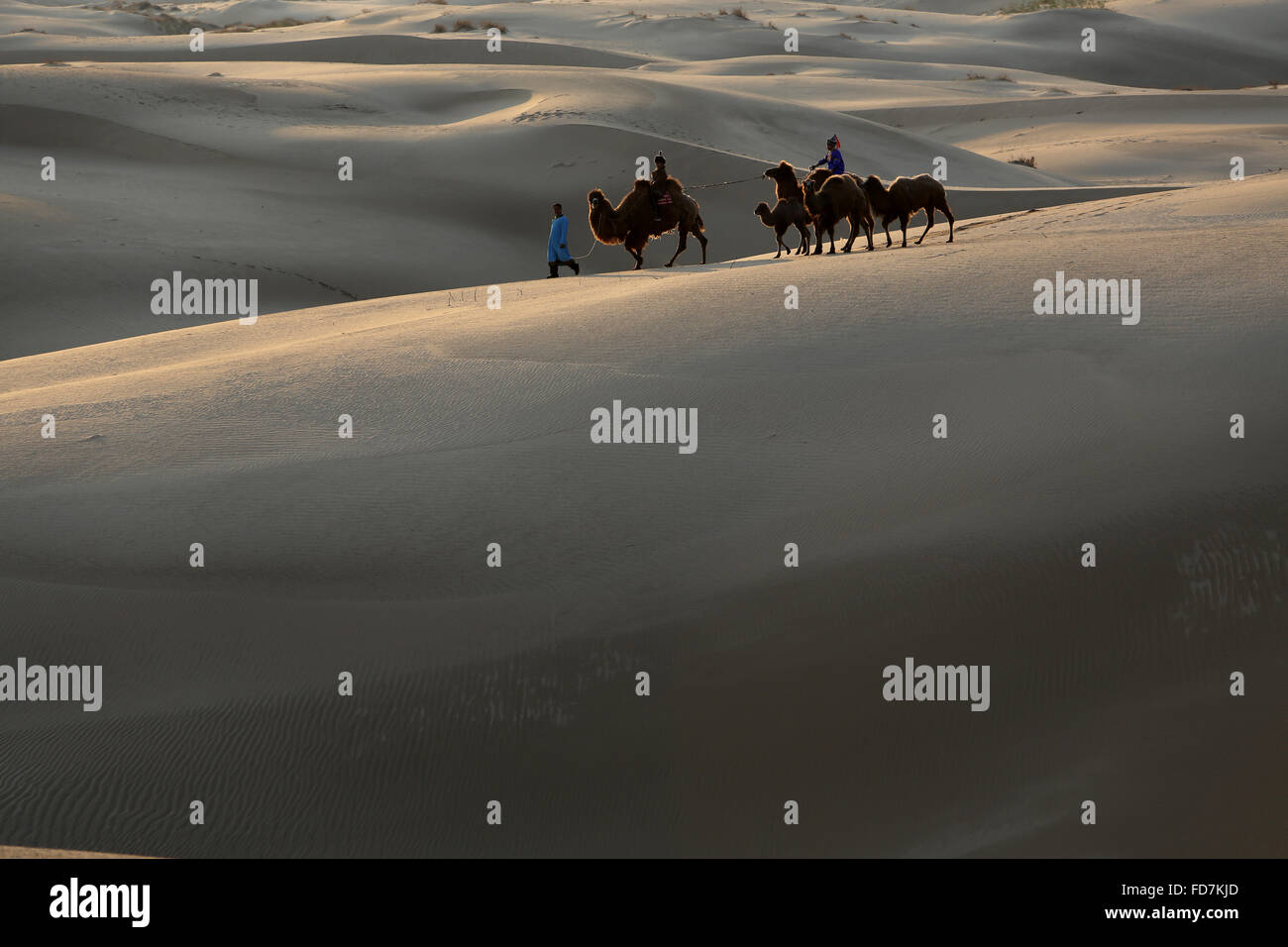 Naiman banner hi-res stock photography and images - Alamy