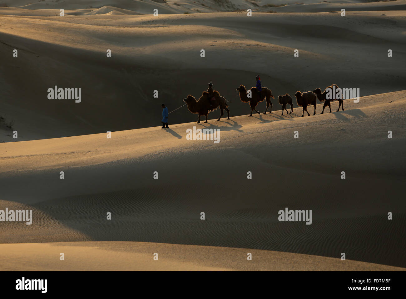 Naiman banner hi-res stock photography and images - Alamy