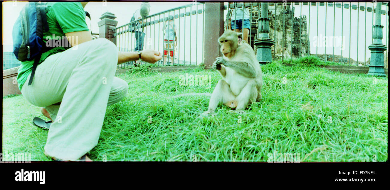 Monkey feeding man hi-res stock photography and images - Alamy