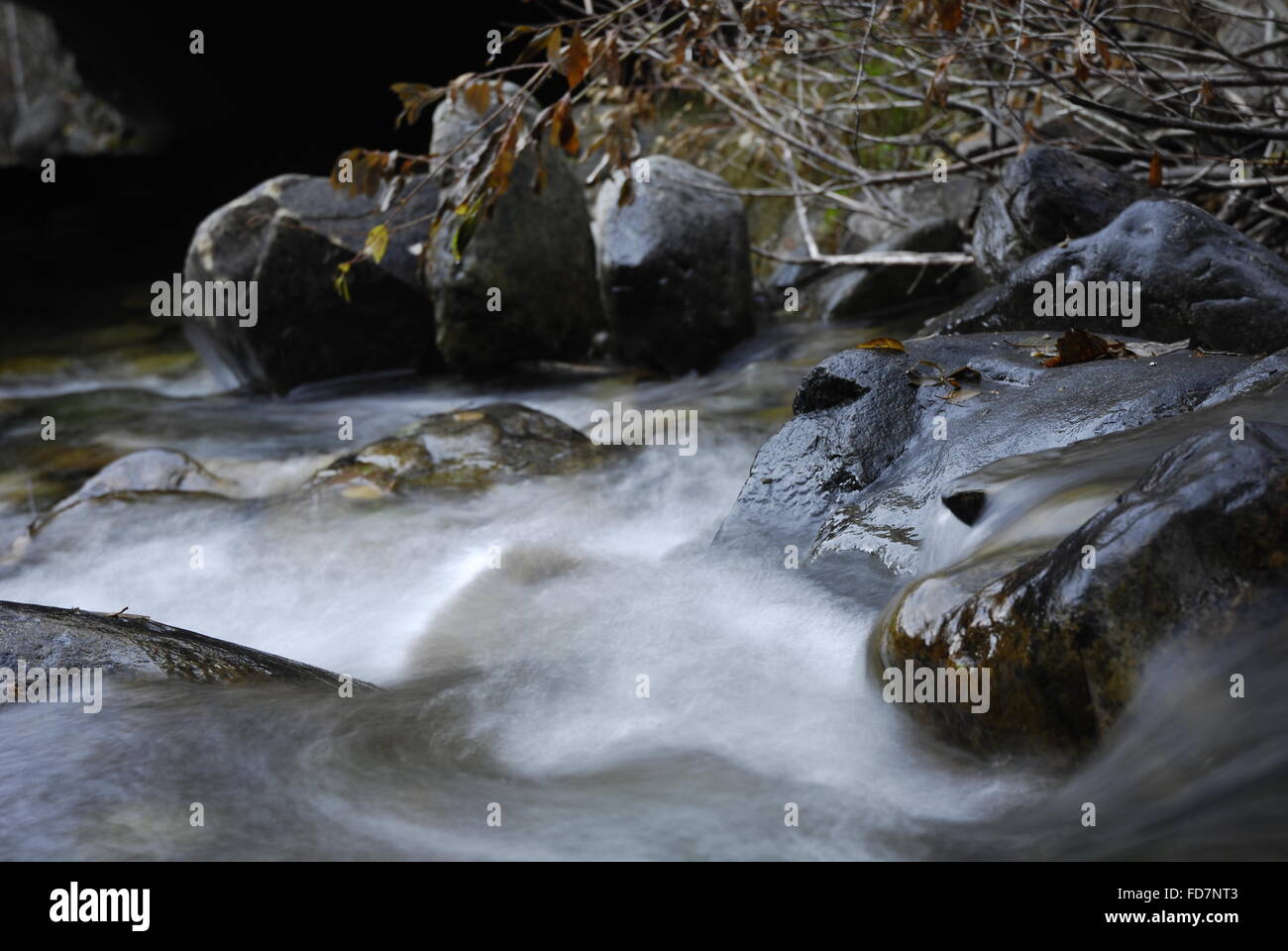 Spring time creek hi-res stock photography and images - Alamy