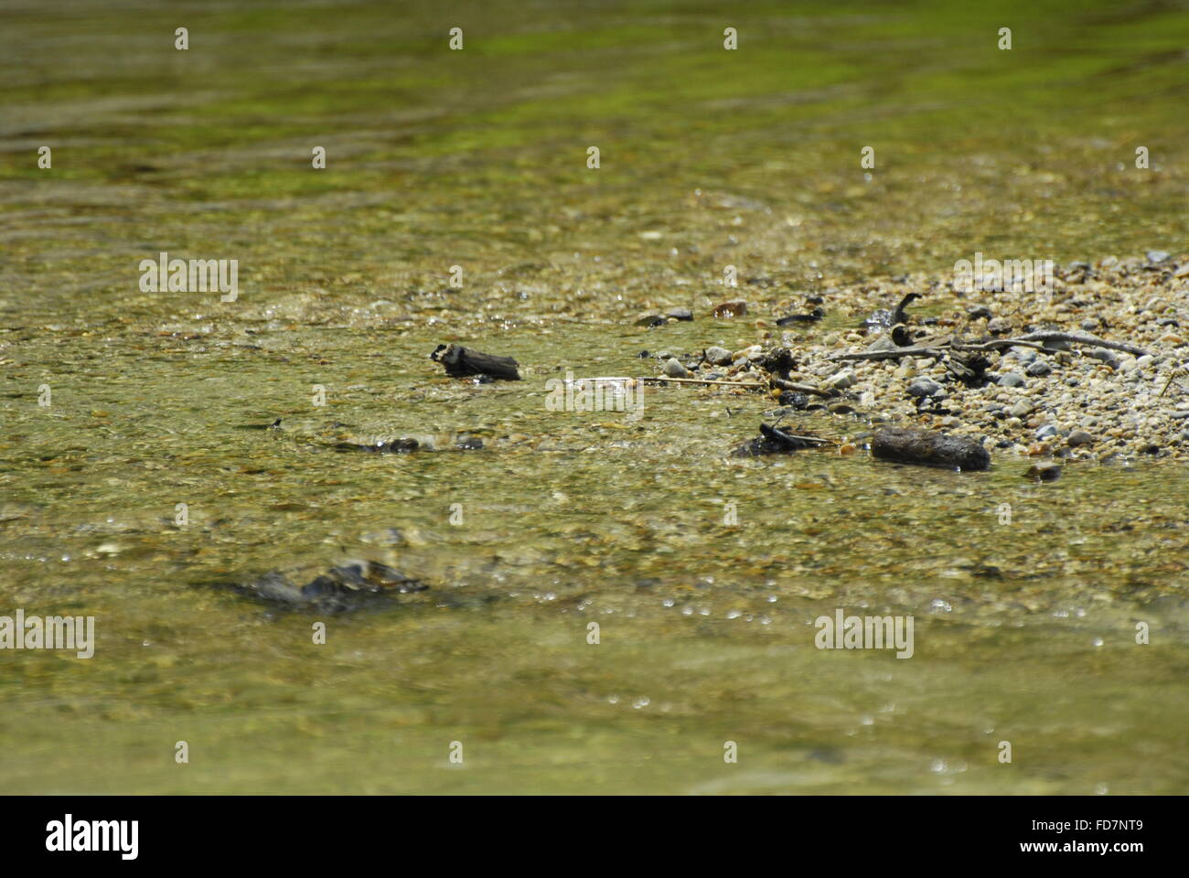 Deep brook hi-res stock photography and images - Alamy