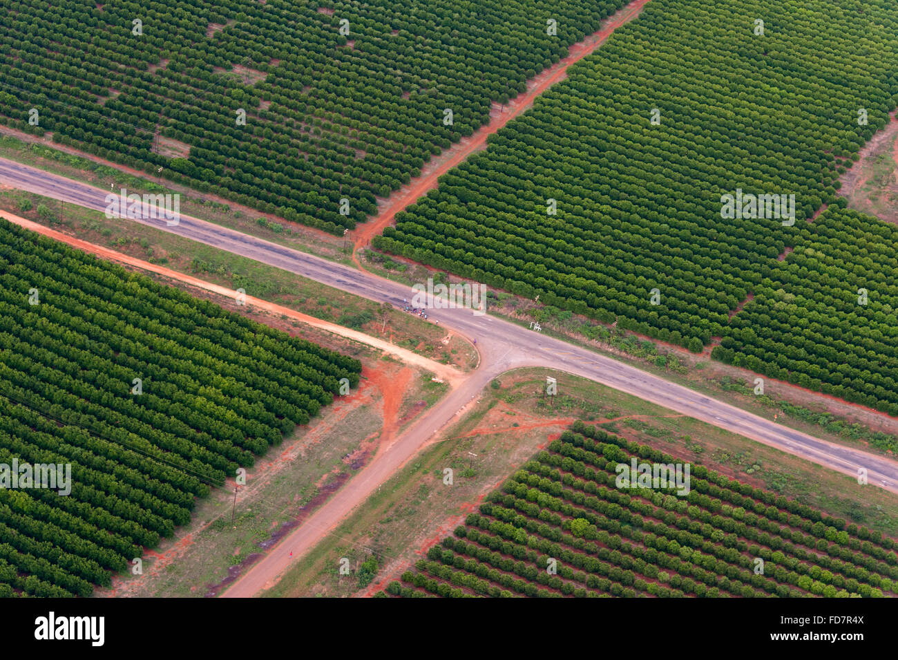 Africa plantation aerial hi-res stock photography and images - Alamy