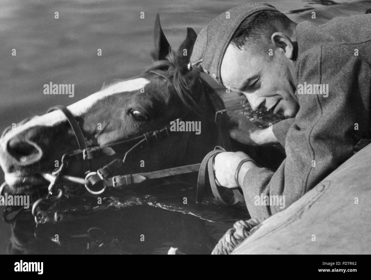 Horse crossing river Black and White Stock Photos & Images - Alamy