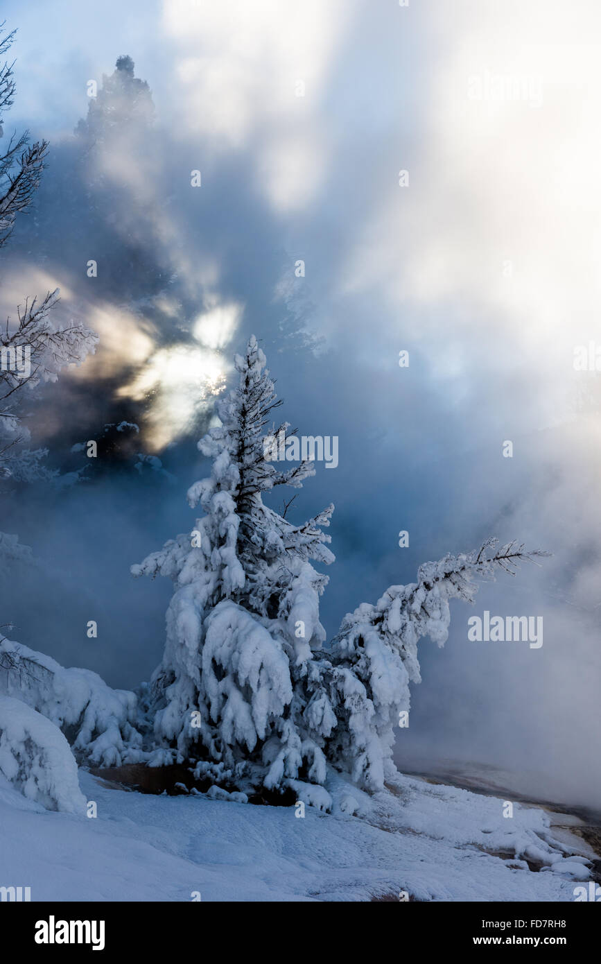 Steam light hi-res stock photography and images - Alamy