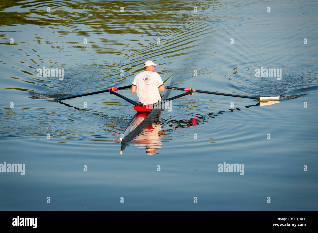Aerial view of rowing in a river Stock Photo - Alamy