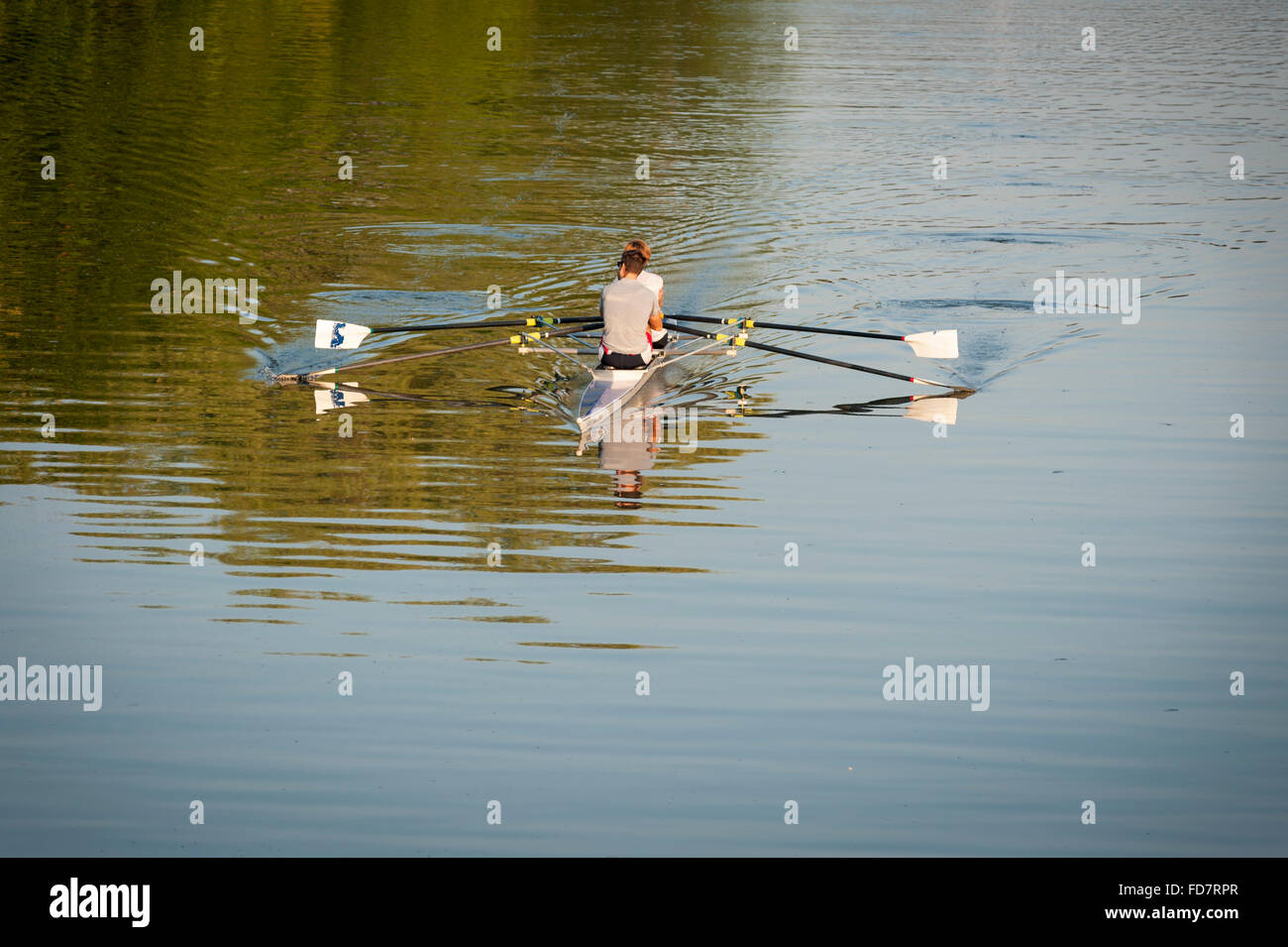 Aerial view of rowing in a river Stock Photo - Alamy