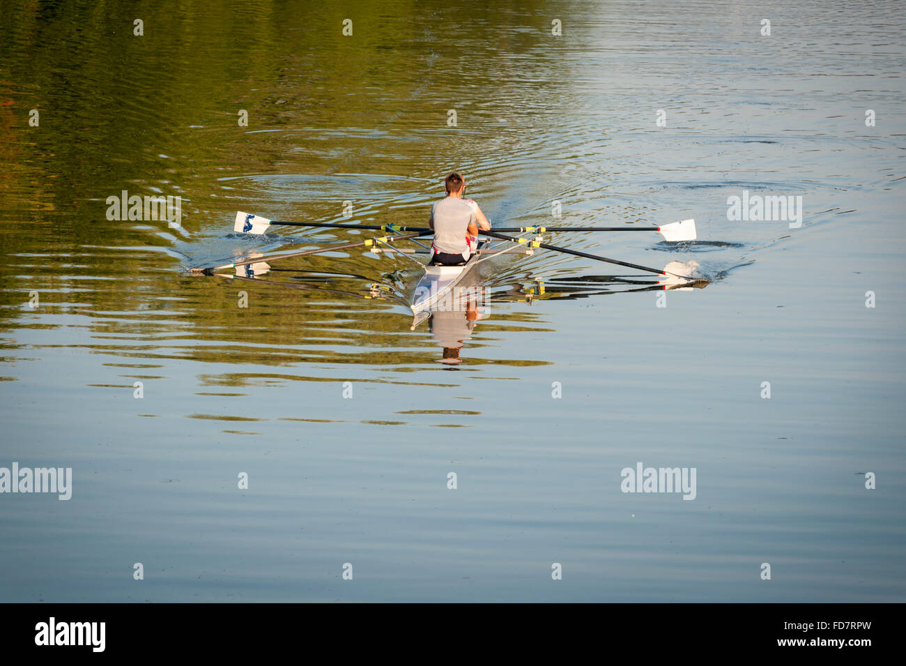 Aerial view of rowing in a river Stock Photo - Alamy