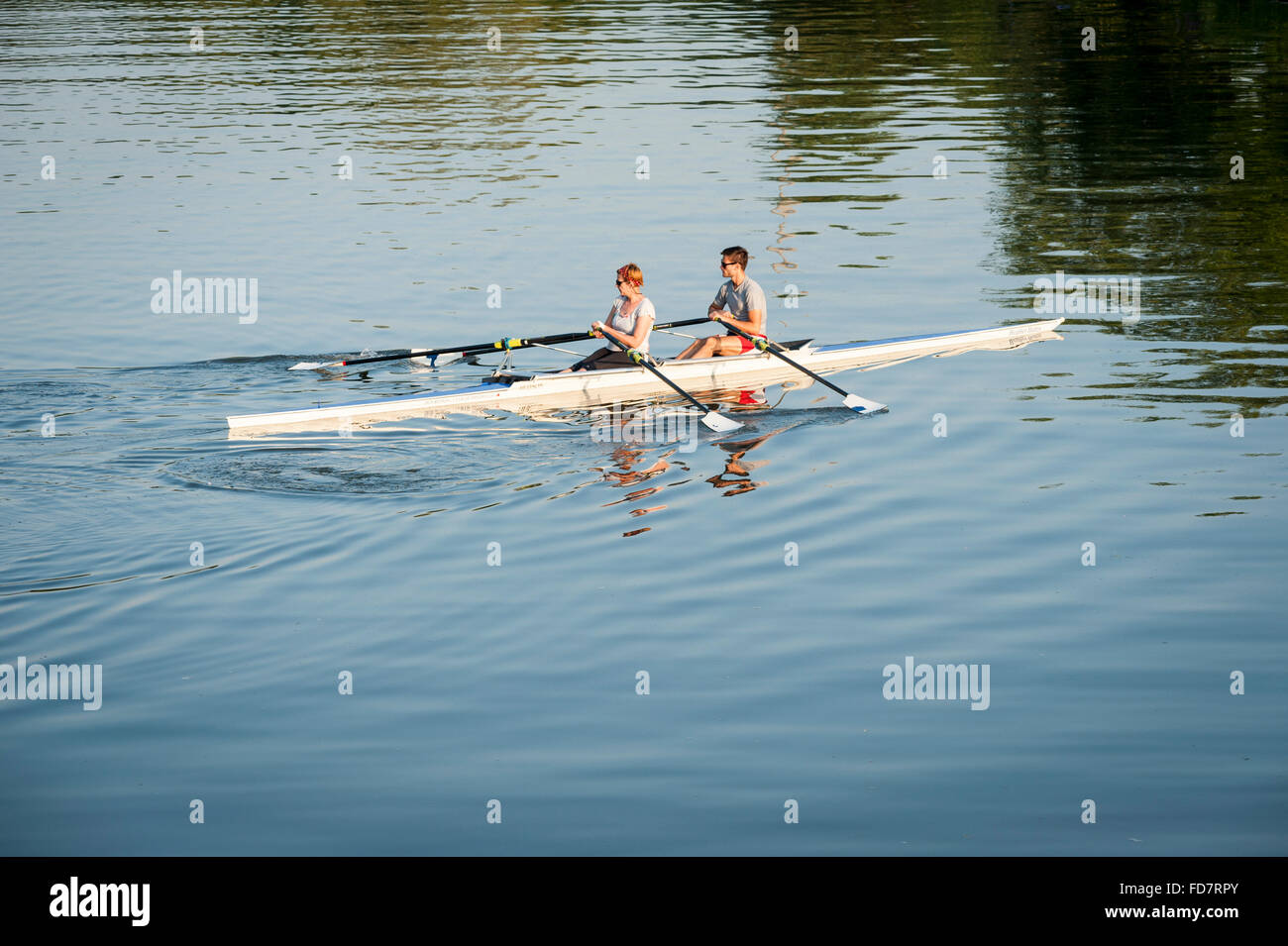 Aerial view of rowing in a river Stock Photo - Alamy