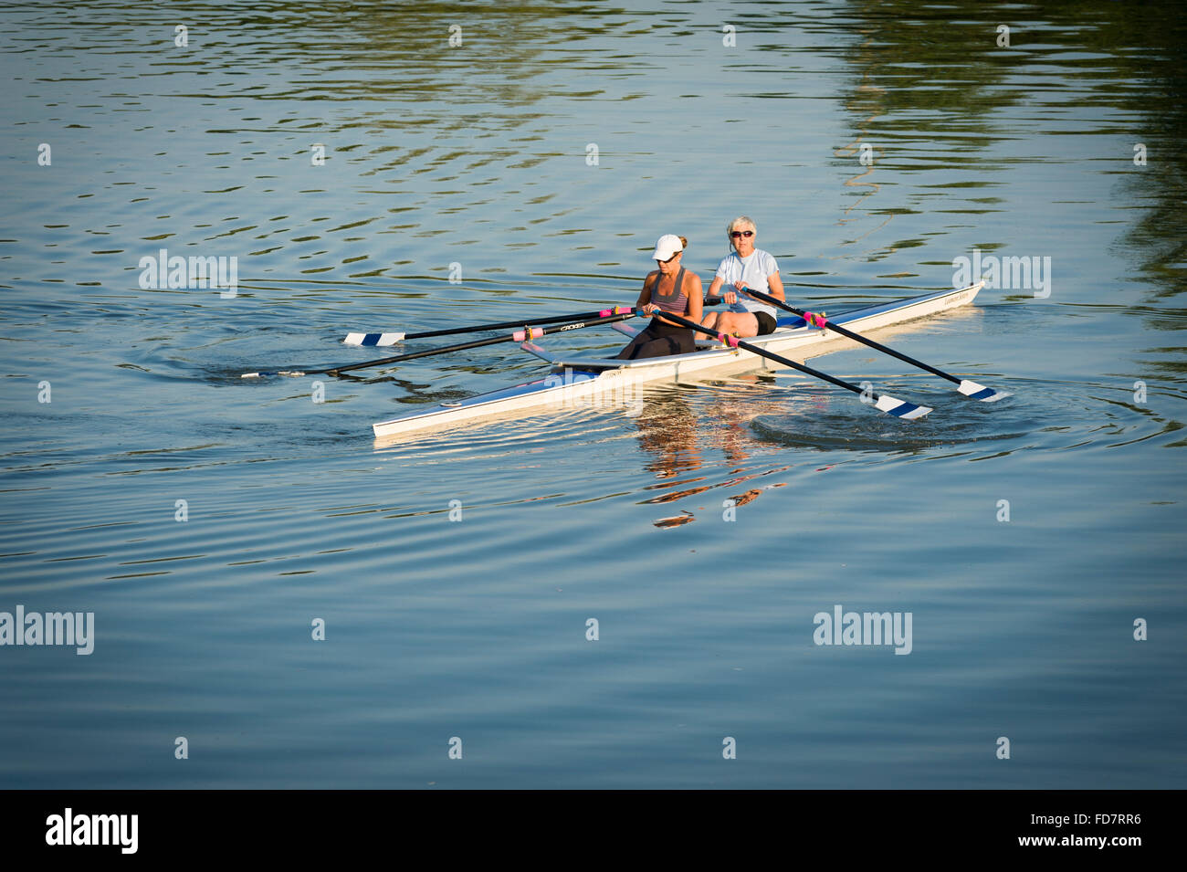 Aerial view of rowing in a river Stock Photo - Alamy