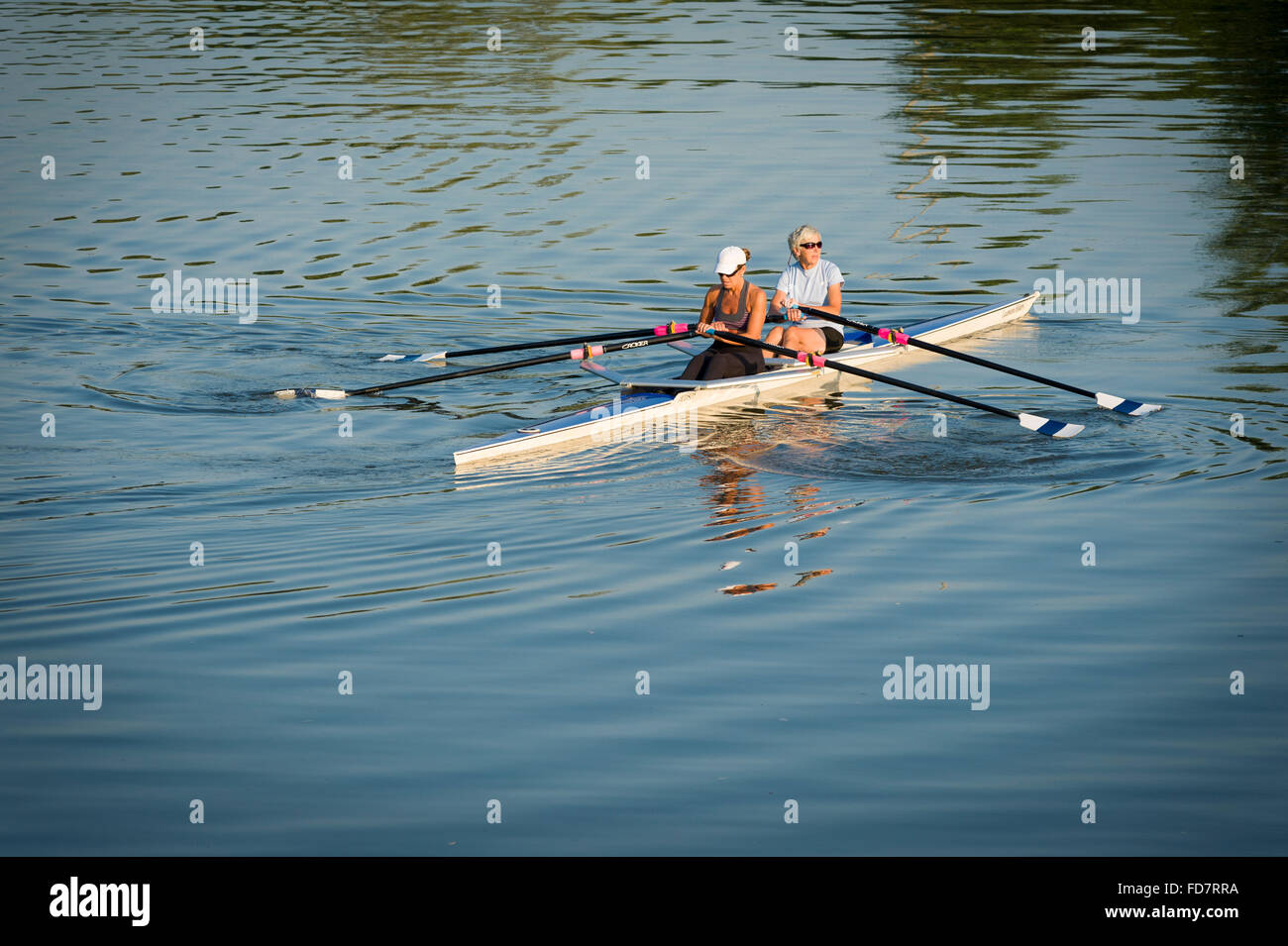 Aerial view of rowing in a river Stock Photo - Alamy