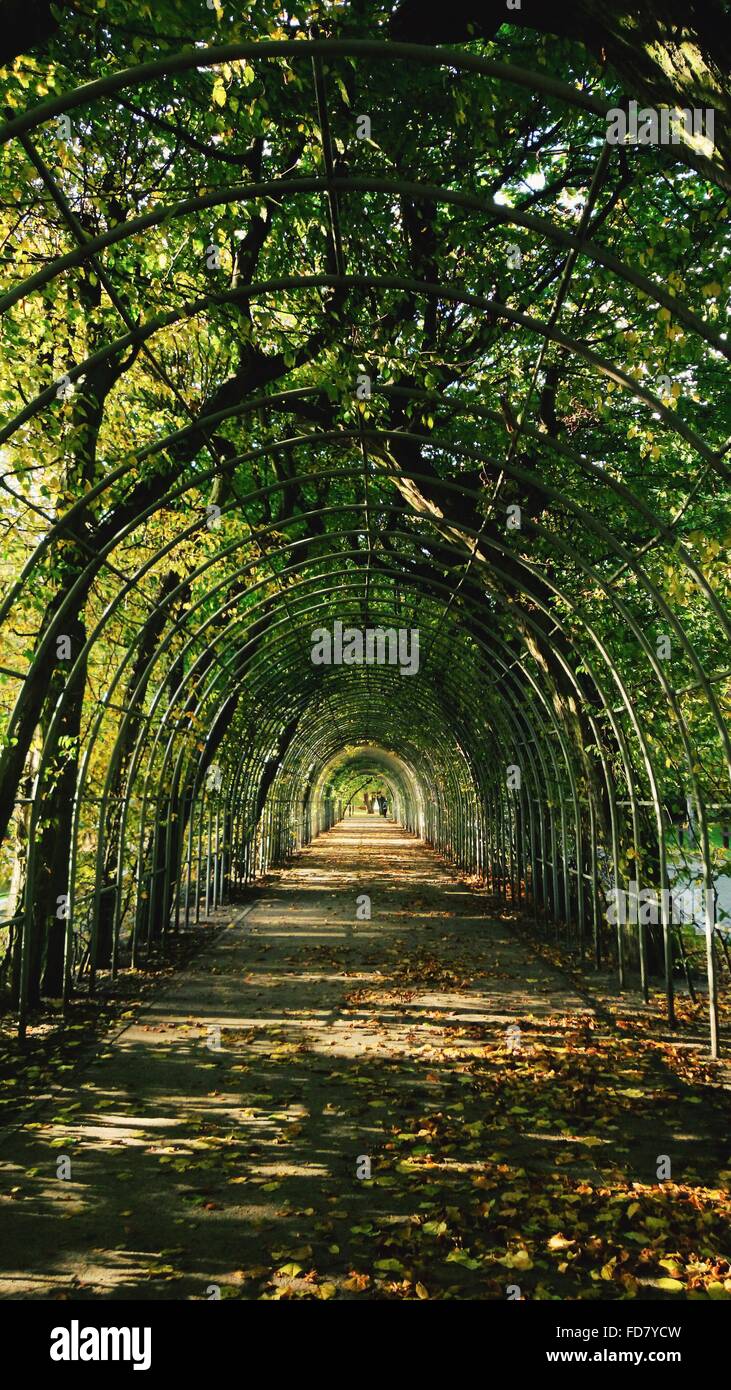Arch Walkway In Park Stock Photo - Alamy