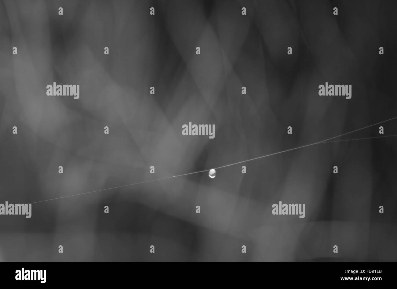 Drop detail Black and White Stock Photos & Images - Alamy