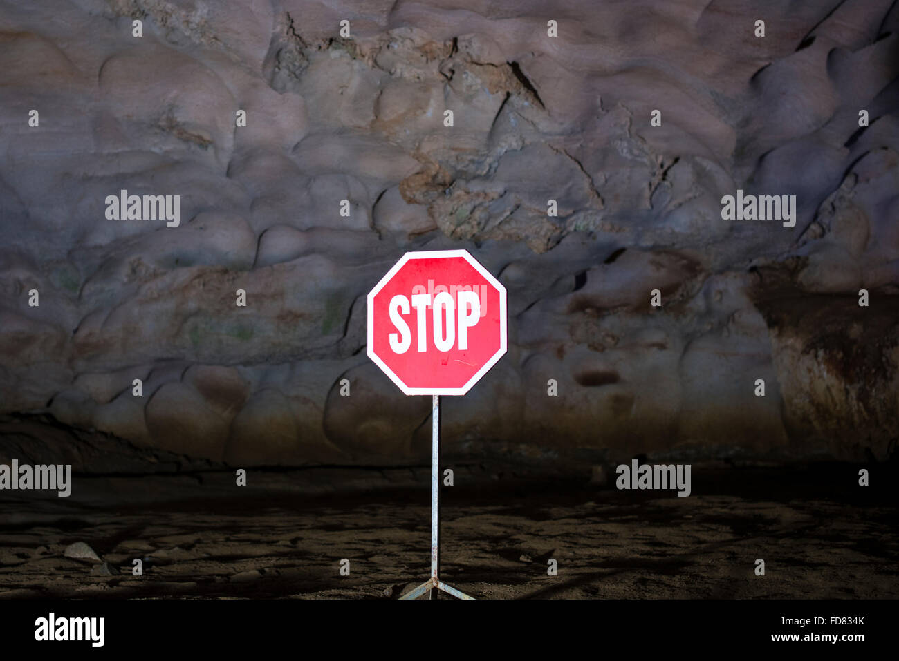 Stop sign stop sign hi-res stock photography and images - Alamy
