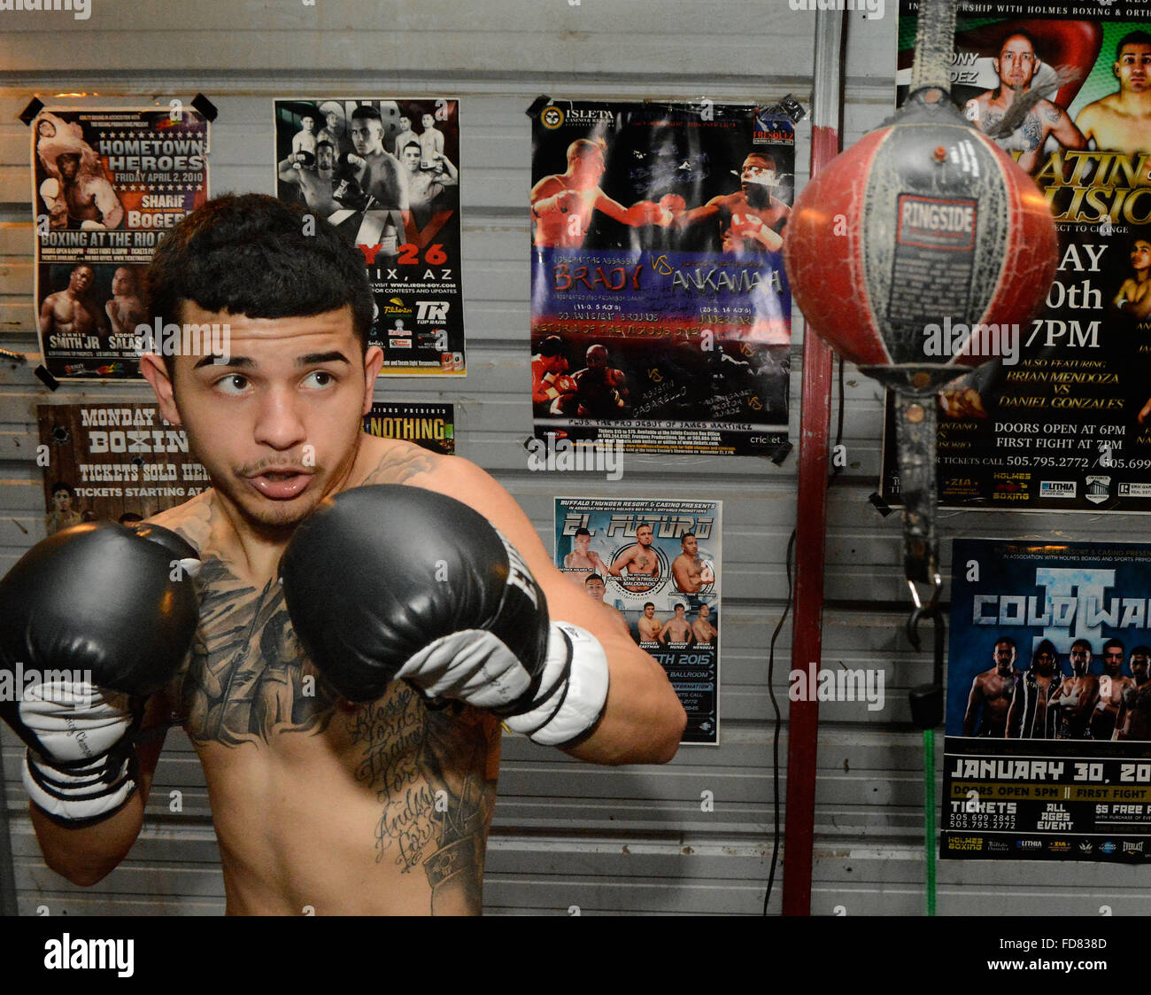 Boxer matthew hi-res stock photography and images - Alamy