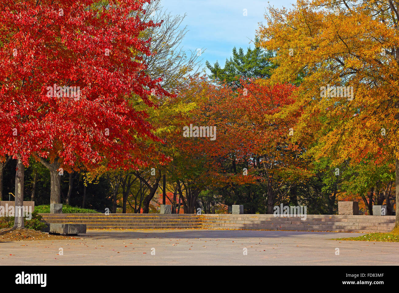 Reflection on tidal basin hi-res stock photography and images - Alamy