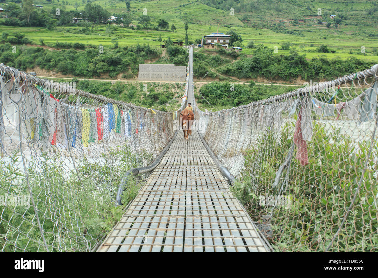 Suspension Bridge in Bhutan, near Punakha Dzong Stock Photo - Alamy