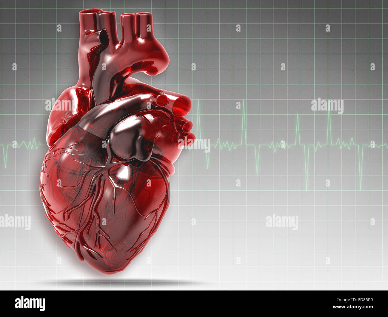 Abstract medical and health backgrounds with human heart Stock Photo ...