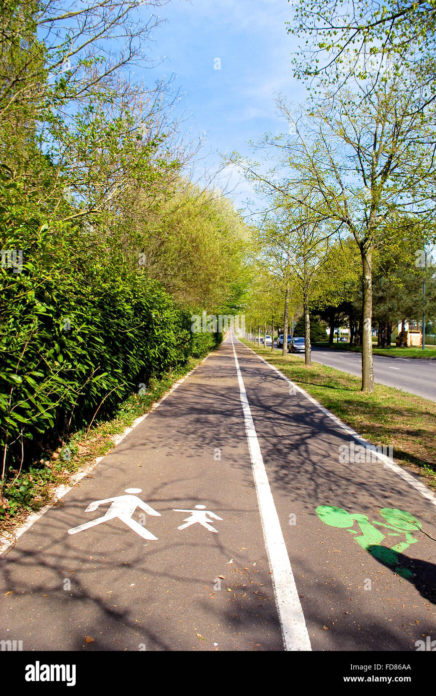Long alleyway with signs on the asphalt Stock Photo - Alamy