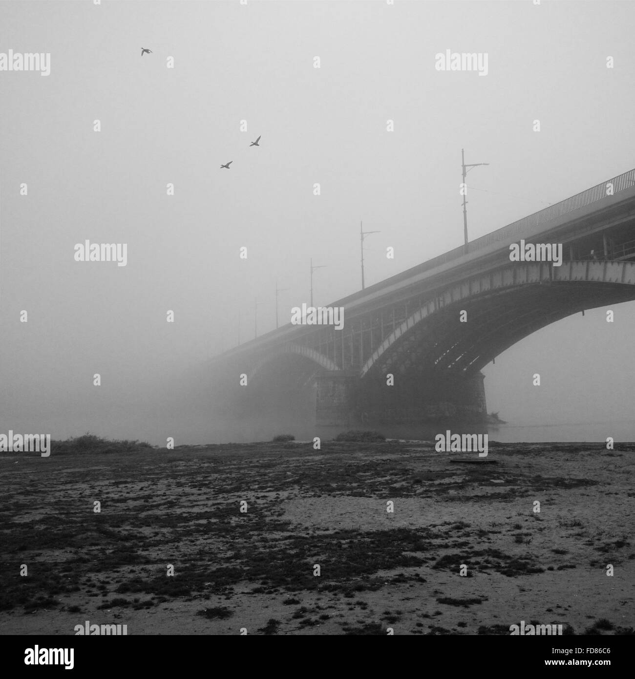 Fog bridge hi-res stock photography and images - Alamy